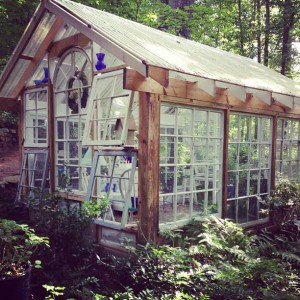 lamon luther garden greenhouse